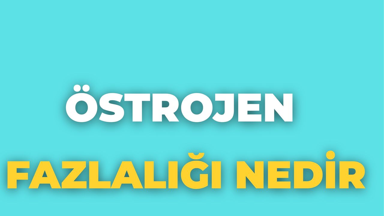 Östrojen Fazlalığı Nedir - Urfa Haberleri