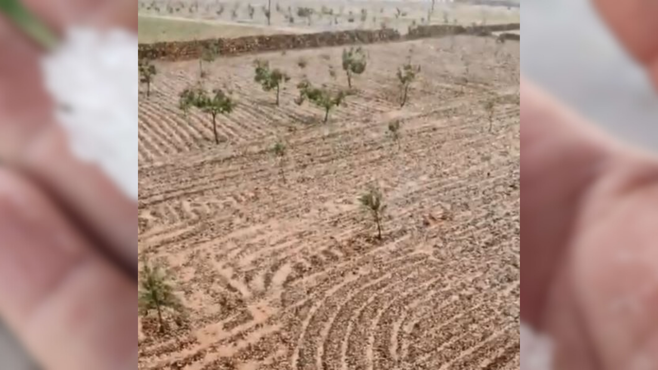 Şanlıurfa Bozova'da Bir Gecede Her Şey Bitti - Urfa Haberleri