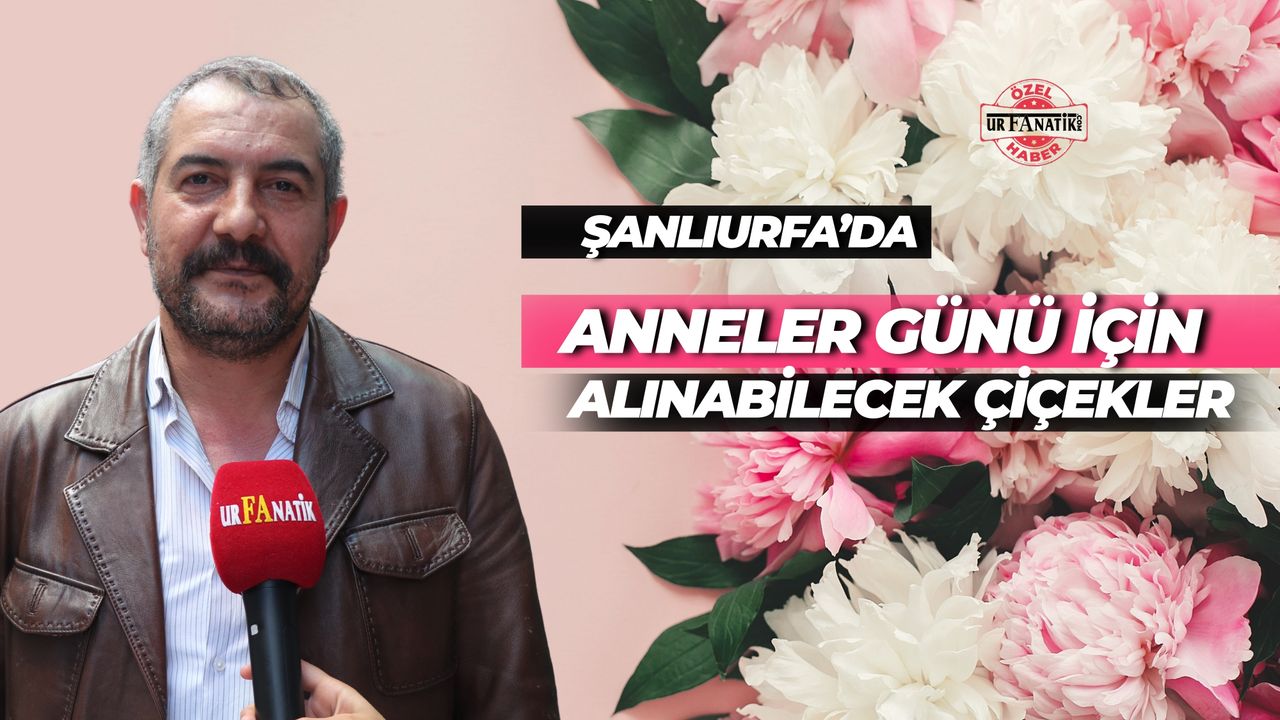 Şanlıurfa’da Anneler Günü İçin Alabileceğiniz Çiçekler ve Fiyatları ...