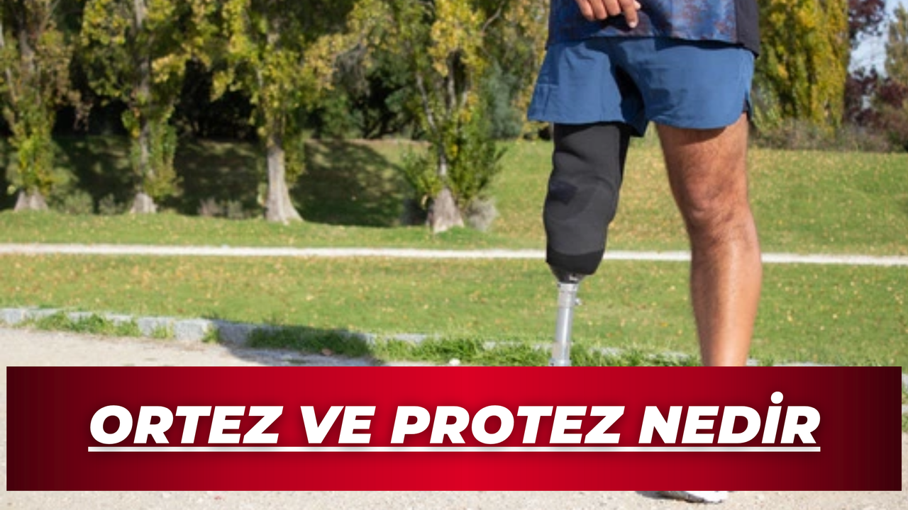 Ortez Ve Protez Nedir - Urfa Haberleri