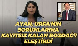 Ünlü yönetmenden acı haber! - Urfa Haberleri