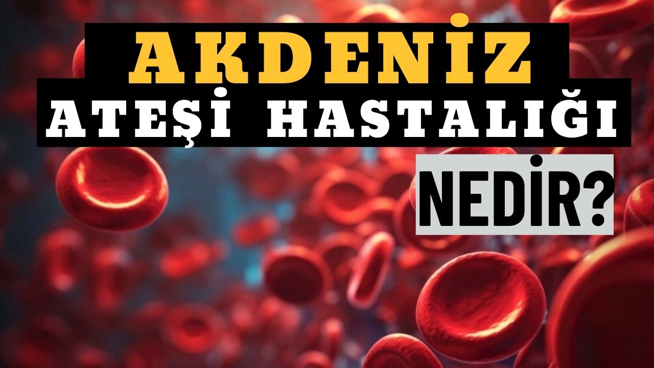 Akdeniz Ateşi Hastalığı Nedir? - Urfa Haberleri