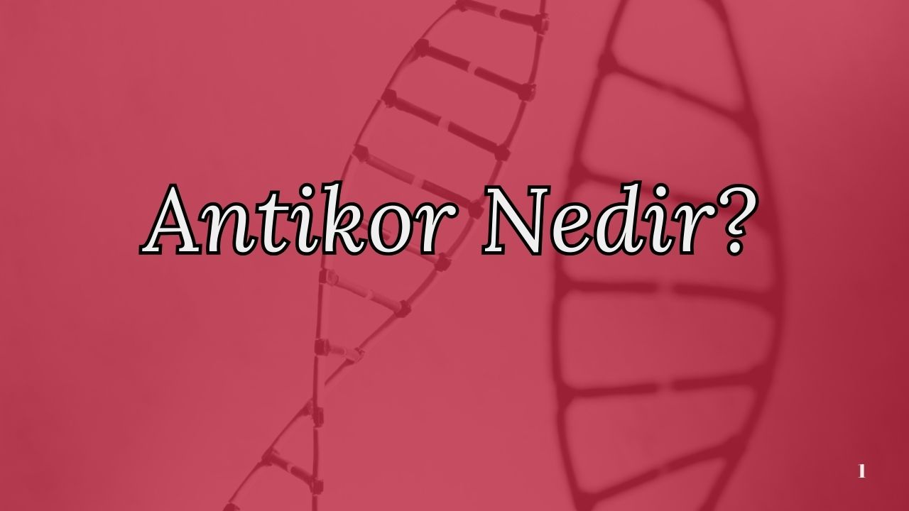 Antikor Nedir? - Urfa Haberleri