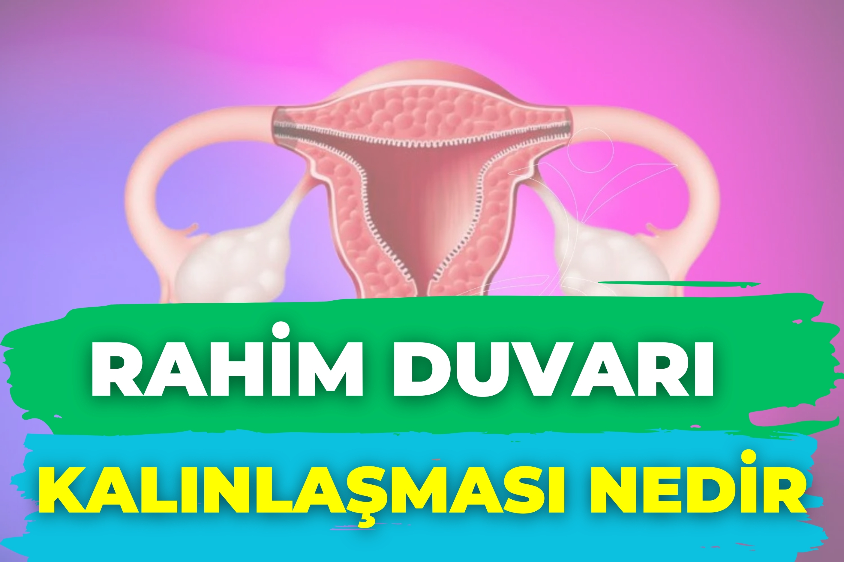 Rahim Duvarı Kalınlaşması Nedir - Urfa Haberleri