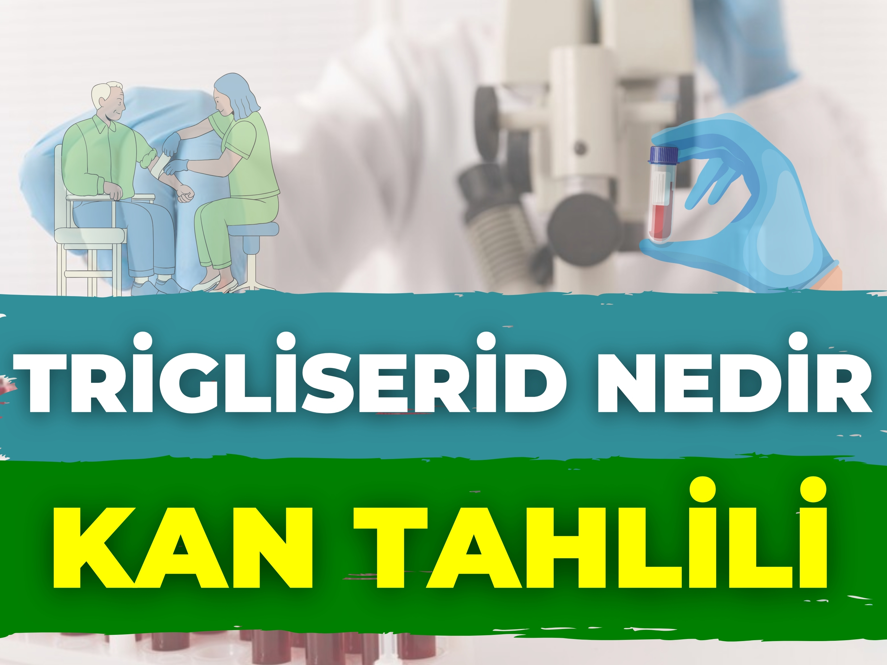 Trigliserid Nedir Kan Tahlili - Urfa Haberleri
