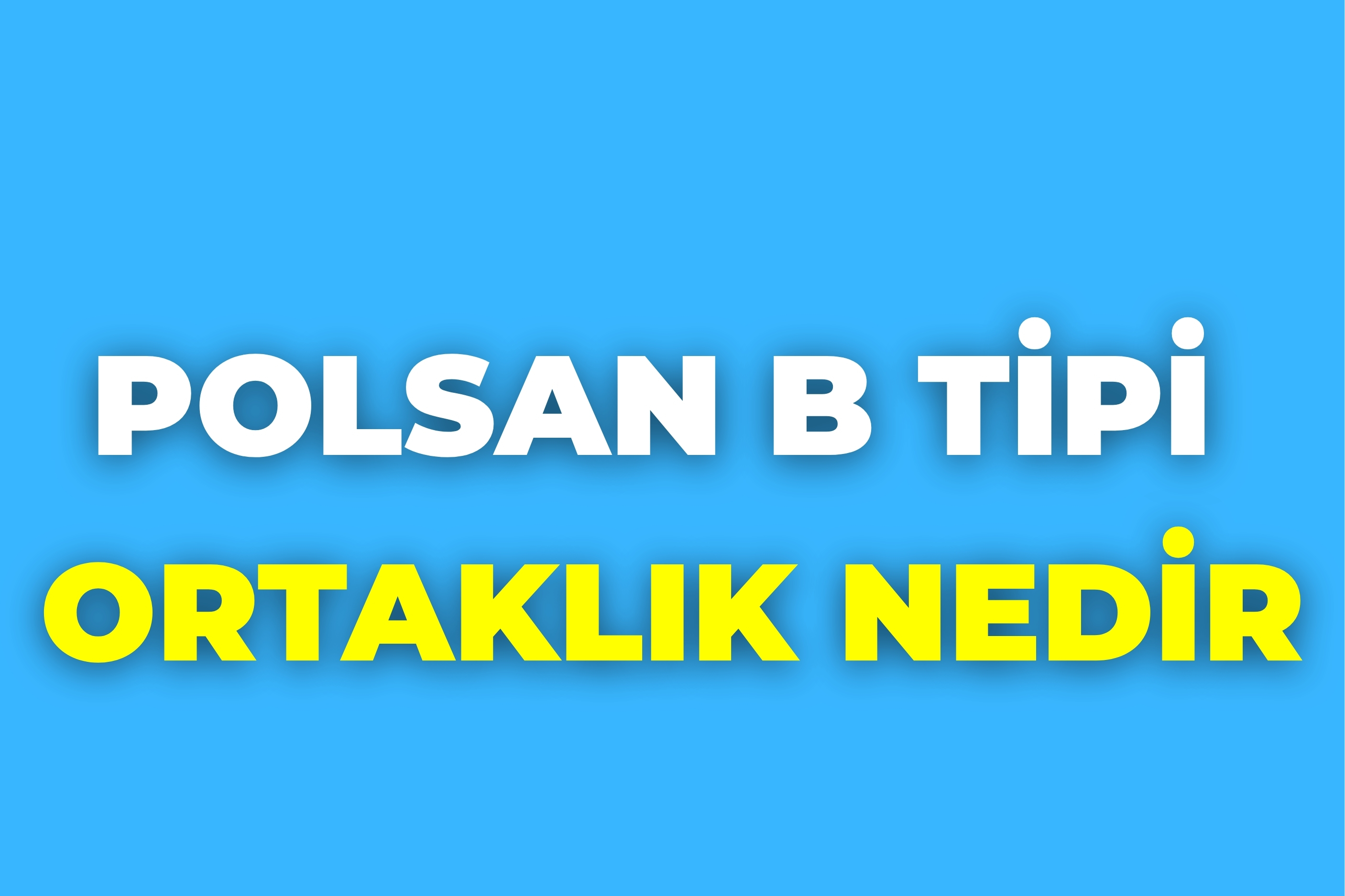 Polsan B Tipi Ortaklık Nedir - Urfa Haberleri
