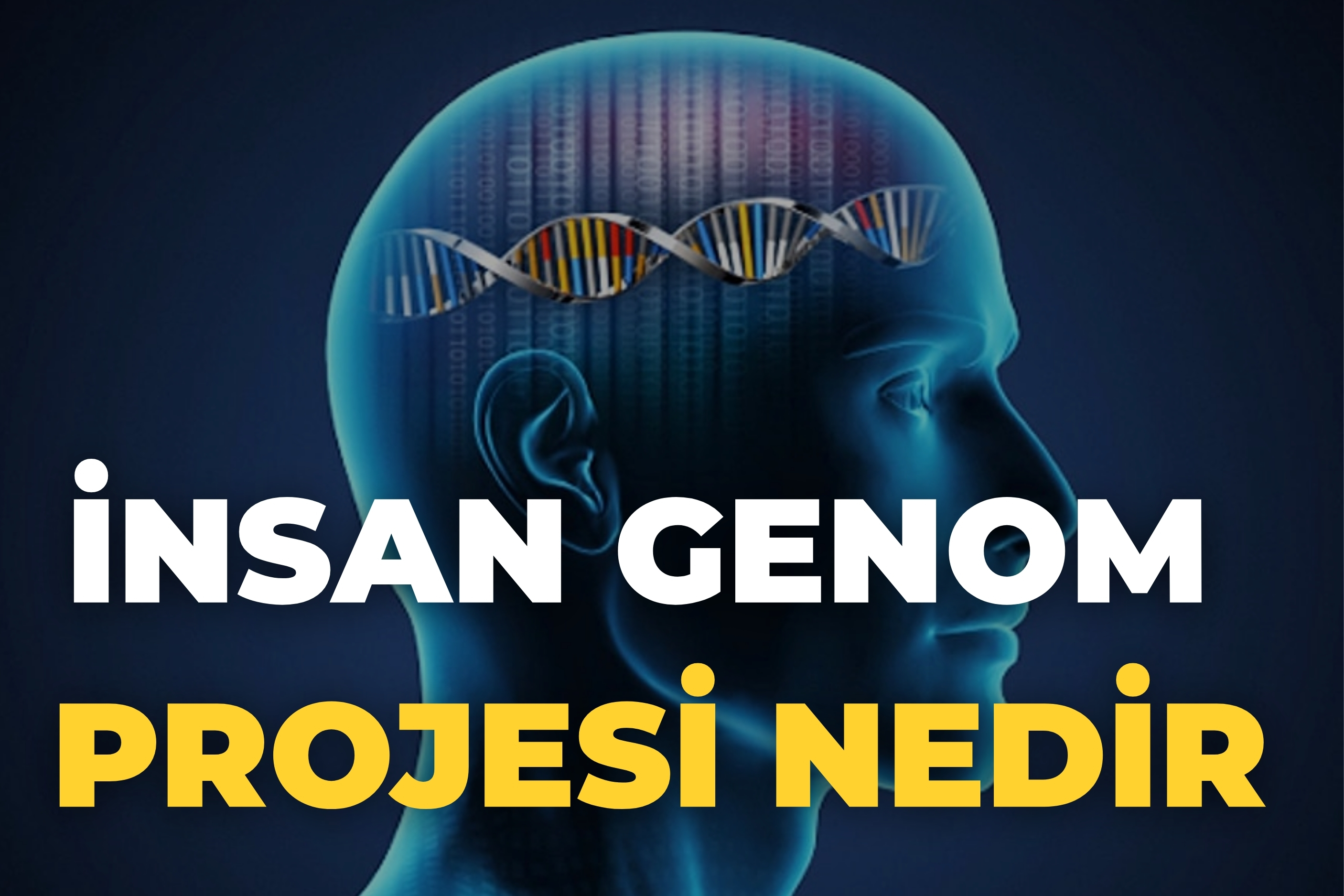 İnsan Genom Projesi Nedir - Urfa Haberleri