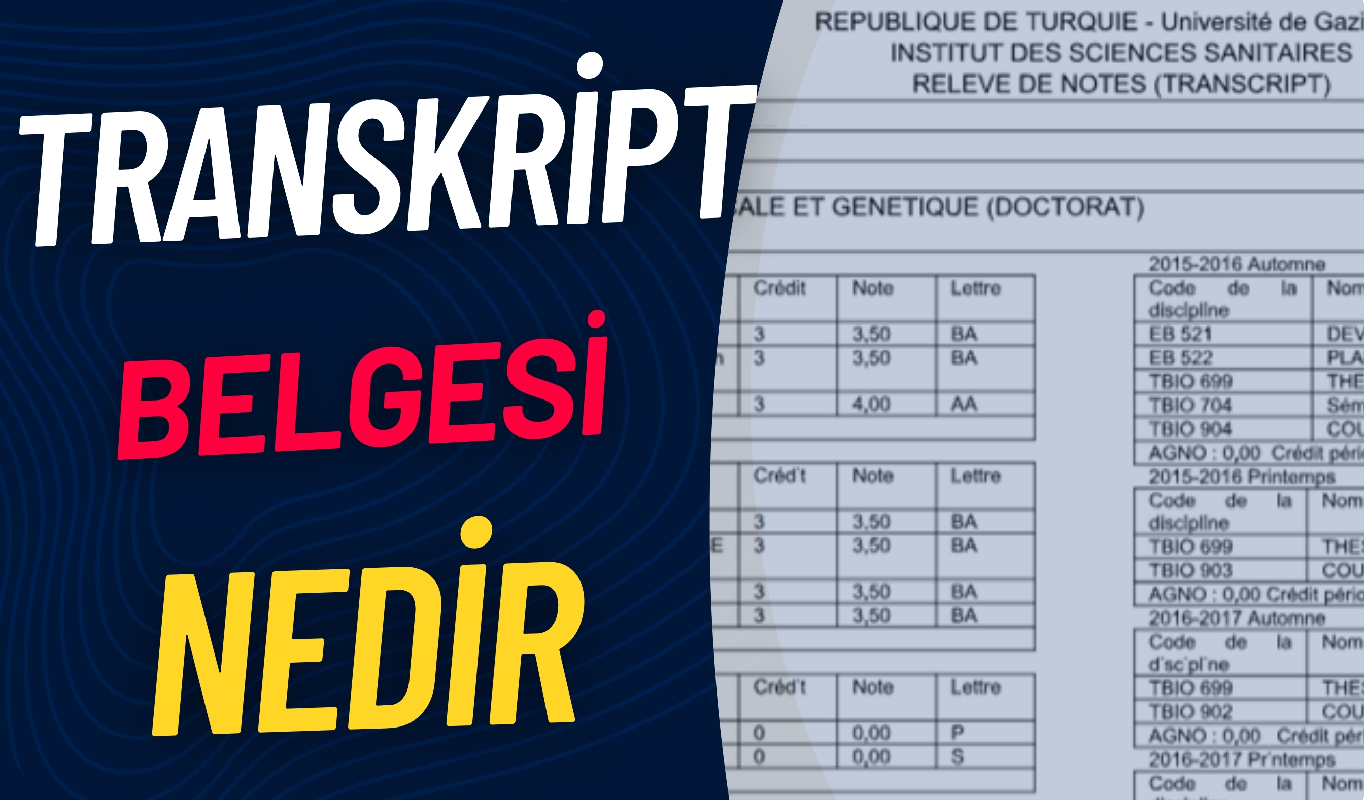 Transkript Belgesi Nedir - Urfa Haberleri